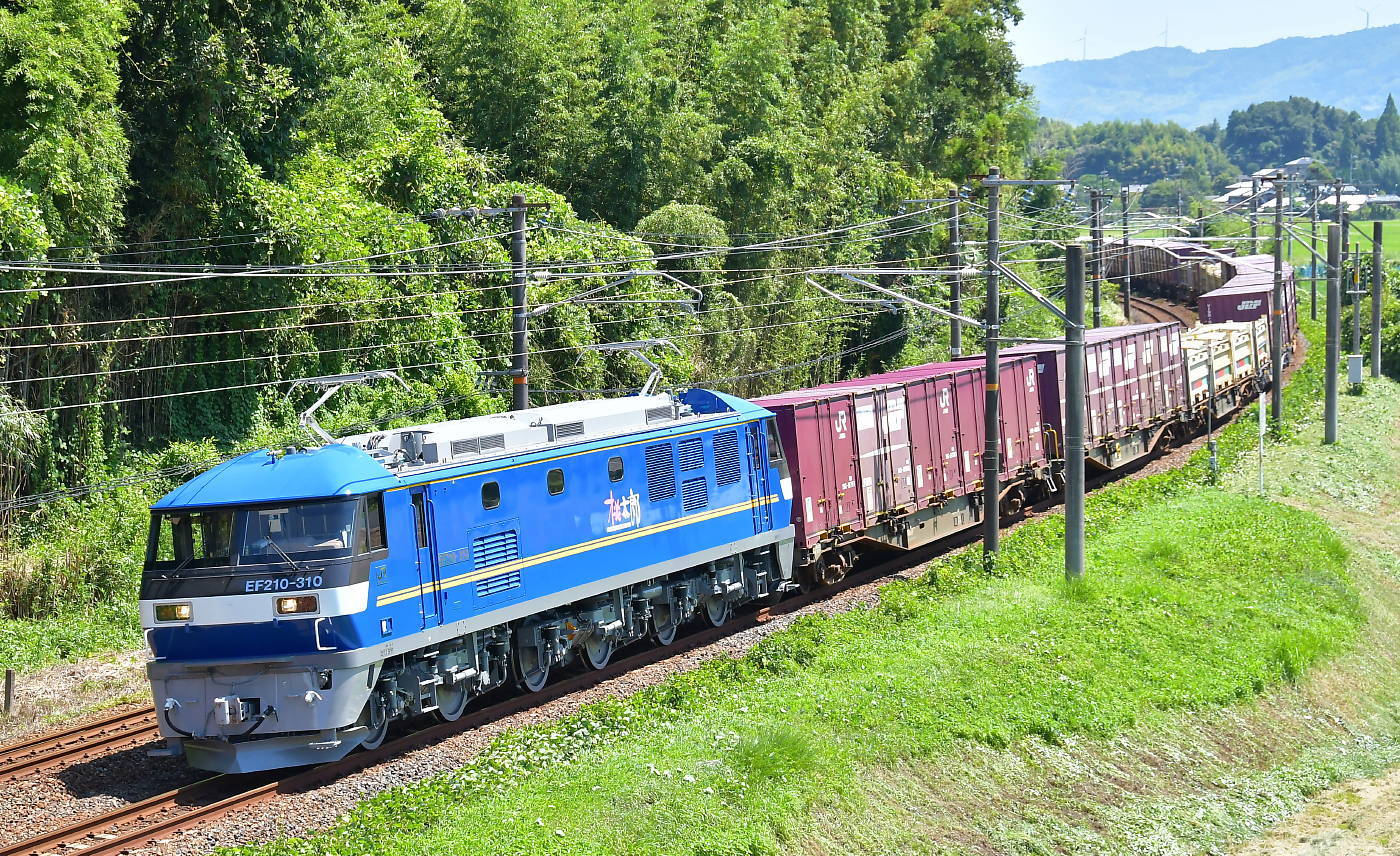 EF210-310新製運行開始 : 団塊鉄ちゃん気紛れ撮影記