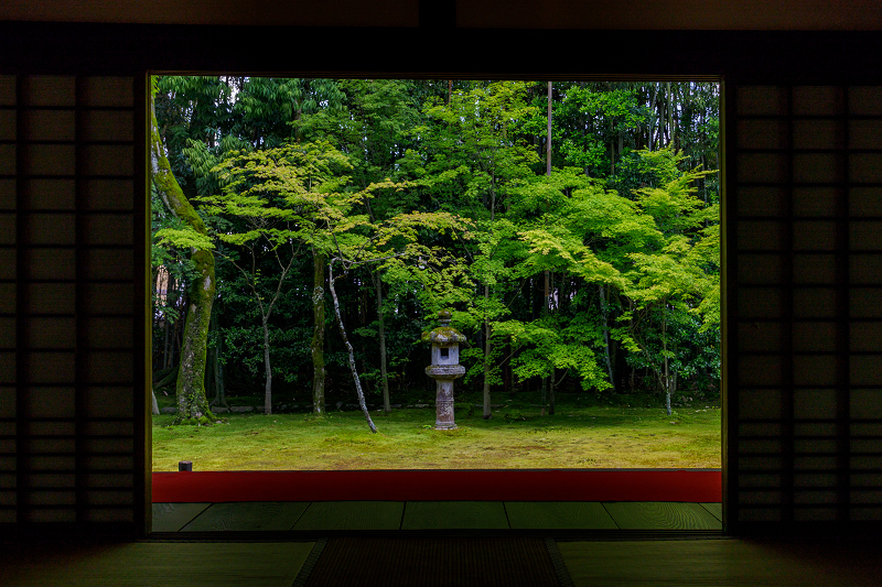 高桐院・サツキ咲く : 花景色－K.W.C. PhotoBlog