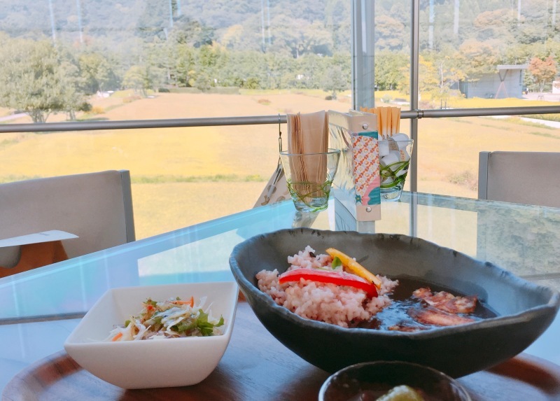 古代出雲歴史博物館のチキンカレー : 大学弁当