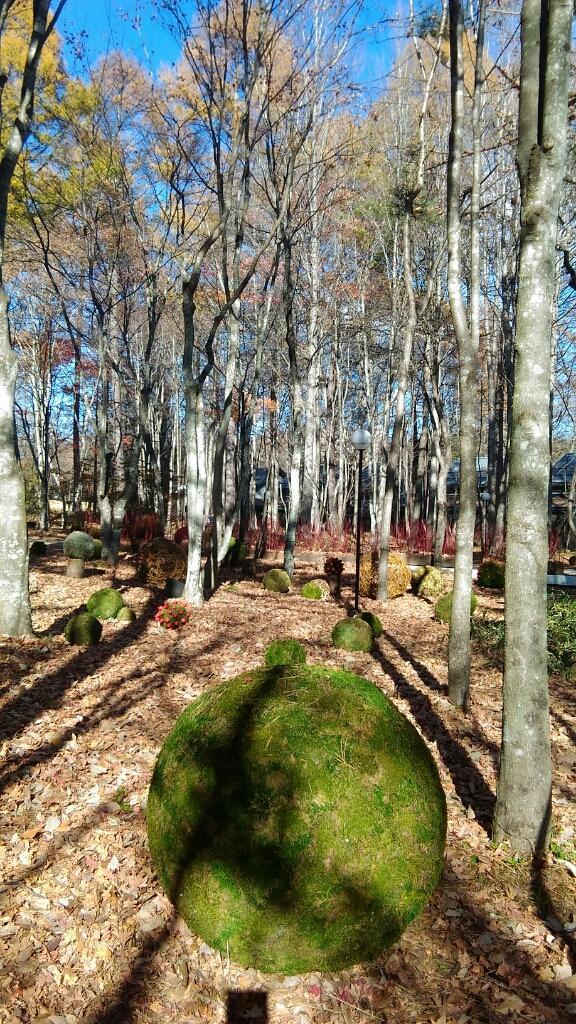 どんならん！Part II