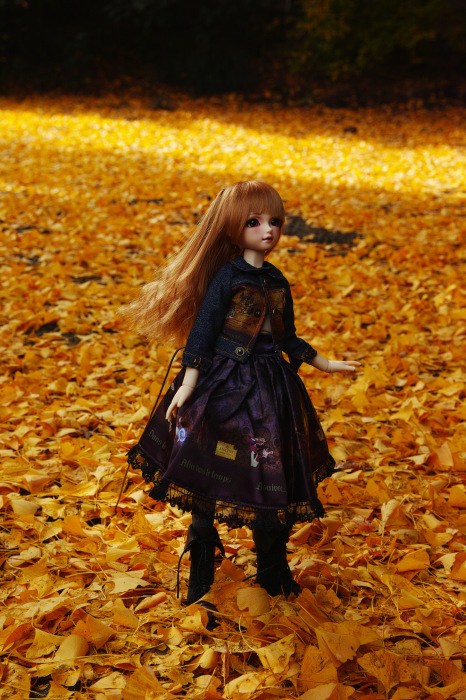 紅葉 2017 山崎聖天 : 写真部