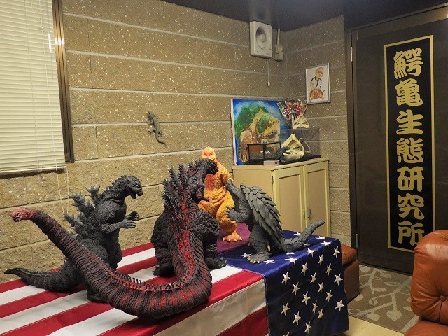 Albino Common snapping turtleの成長その48 ＆ Albino Godzilla : ワニガメ生態研究所