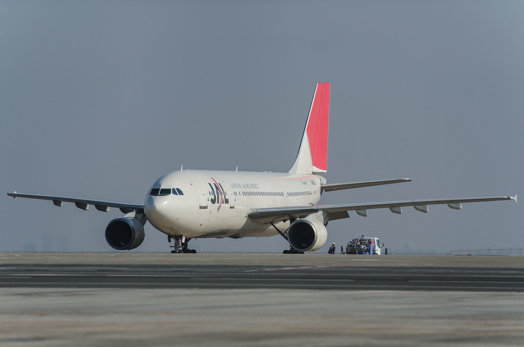 AIRBUS A300-600R / JA8561 : SKY LOUNGE GARDEN -transporter side-