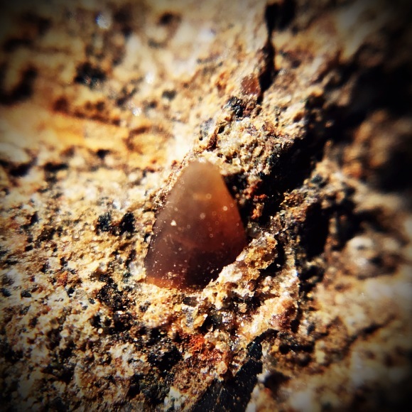 サメの歯を探しに行ってきました。〜2/14 津市美里 : オヤジNEKOの今日も青空