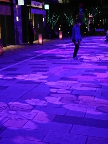 日本橋の桜♪ : 新 LANILANIな日々