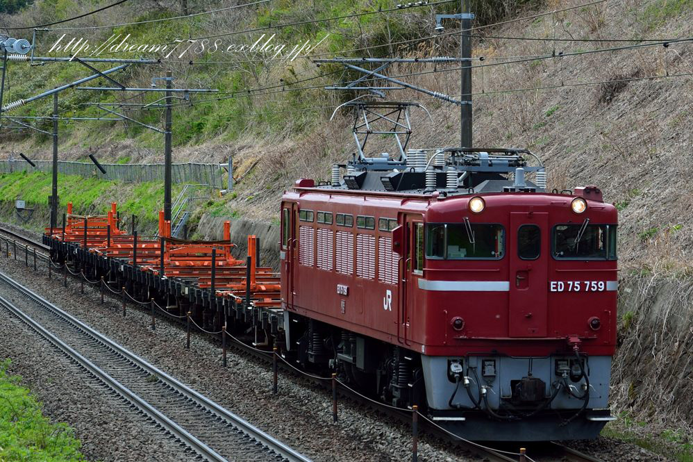 ED75＋チキ : HIROのフォトアルバム