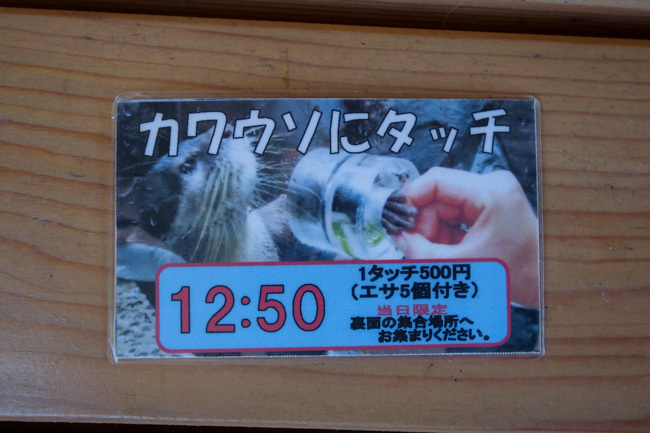2018/04/29 三津シーパラダイス コツメカワウソ : 墨色の鳥籠 2018/04/29 三津シーパラダイス コツメカワウソ : 墨色の鳥籠