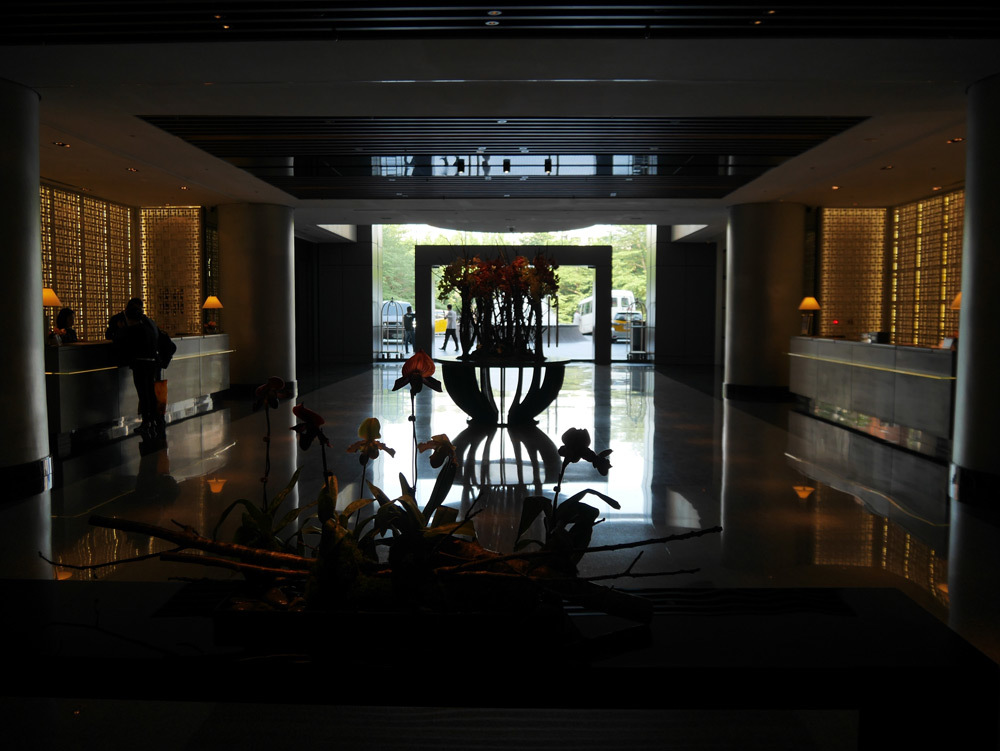 Cathay Delight : 瀬戸内ケイマン便り