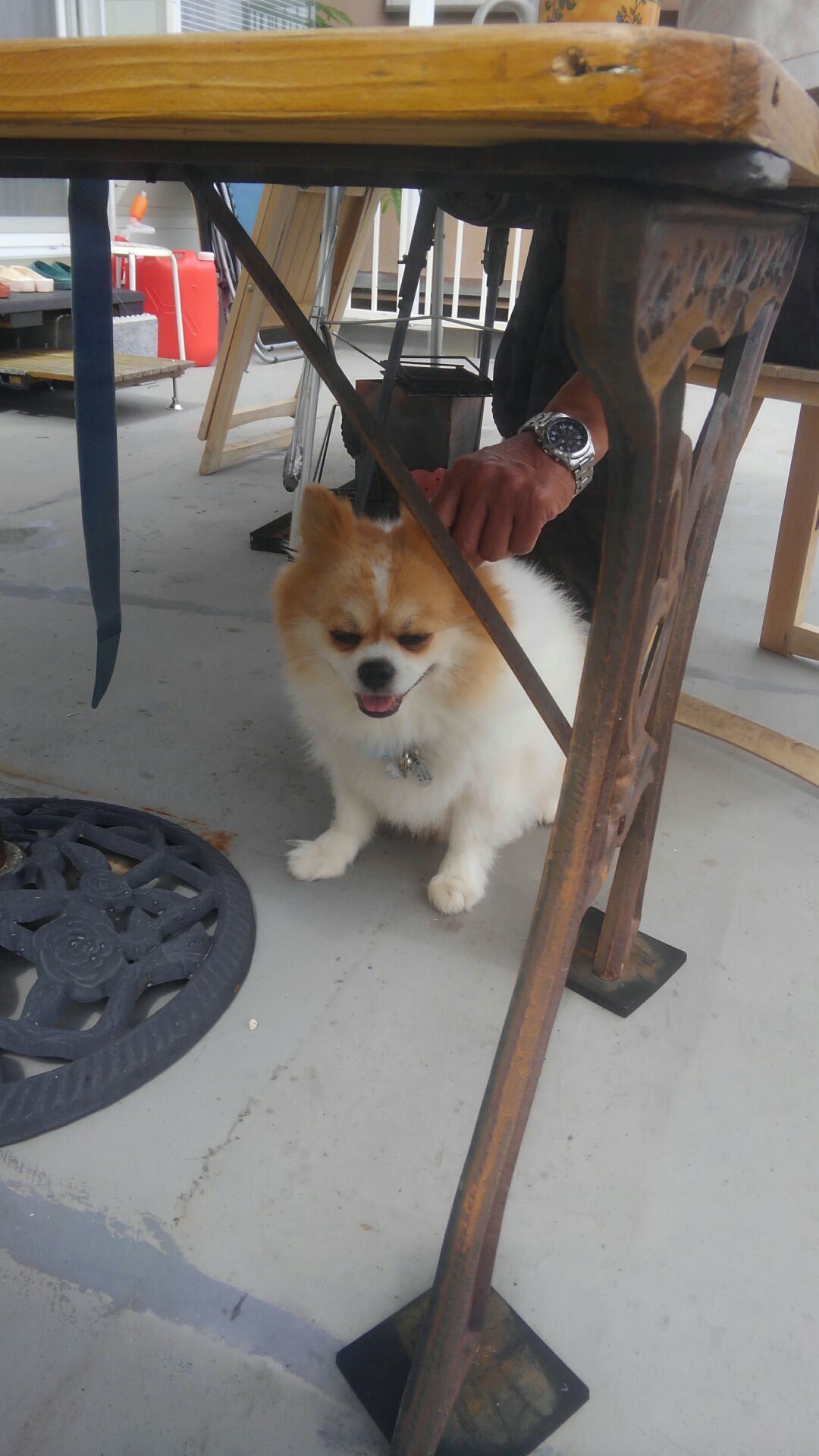 昨日は晴れ、今日は雨 : おルミの徒然日誌