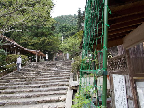 皇室から伊勢神宮へ「馬」の贈り物 「御馬牽進式」 : 松陰先生の横顔