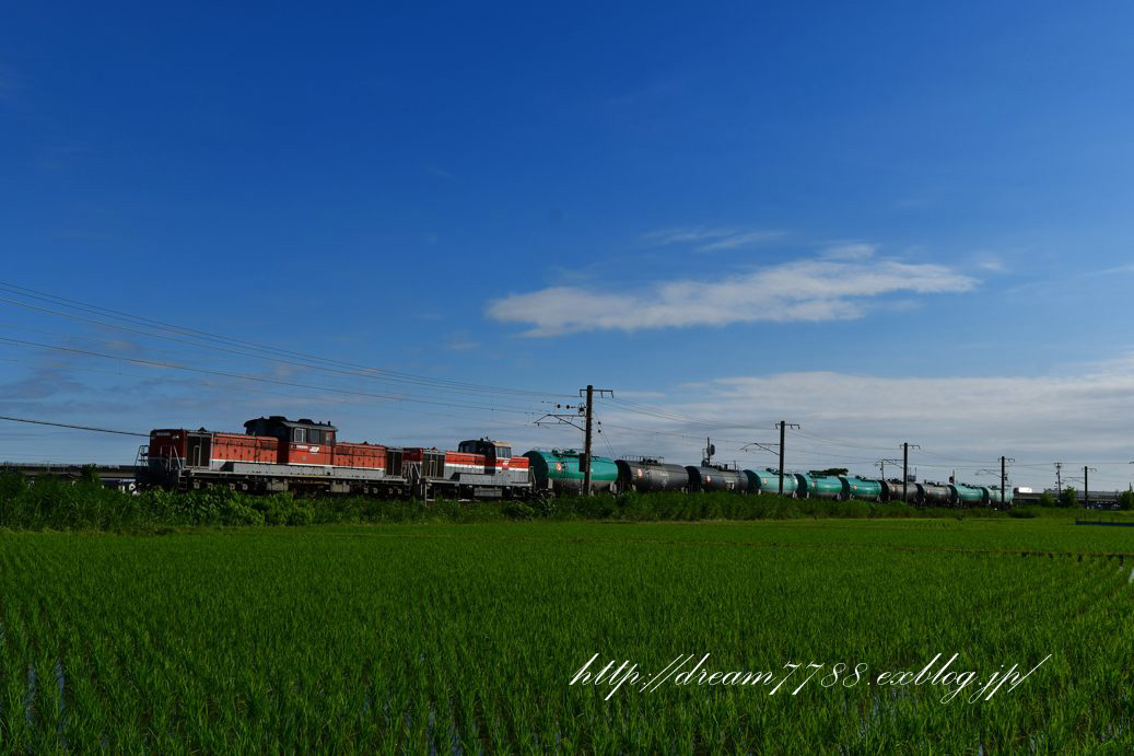 梅雨の晴れ間のDD51 : HIROのフォトアルバム