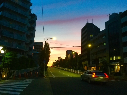 週末恒例…バラ色徒然日記 : madameHのバラ色の人生