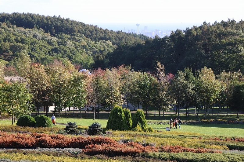 10月7日 四季の杜公園 4 : そよ風のように