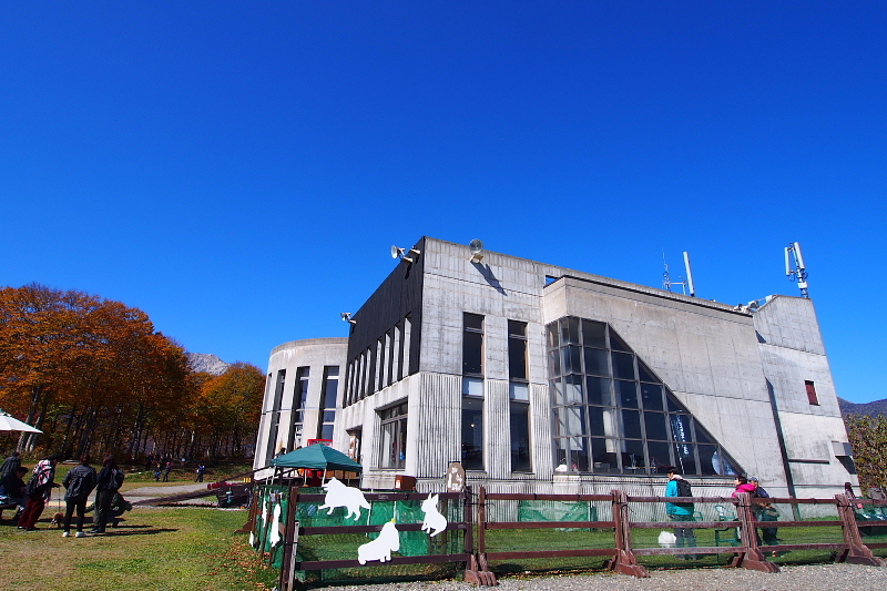 【三段紅葉Photo②】白馬マウンテンハーバー HAKUBA MOUNTAIN HARBOR : SAMのLIFEキャンプブログ Life ...