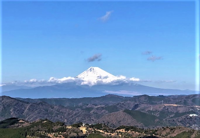 初富士 : Sweet Davy