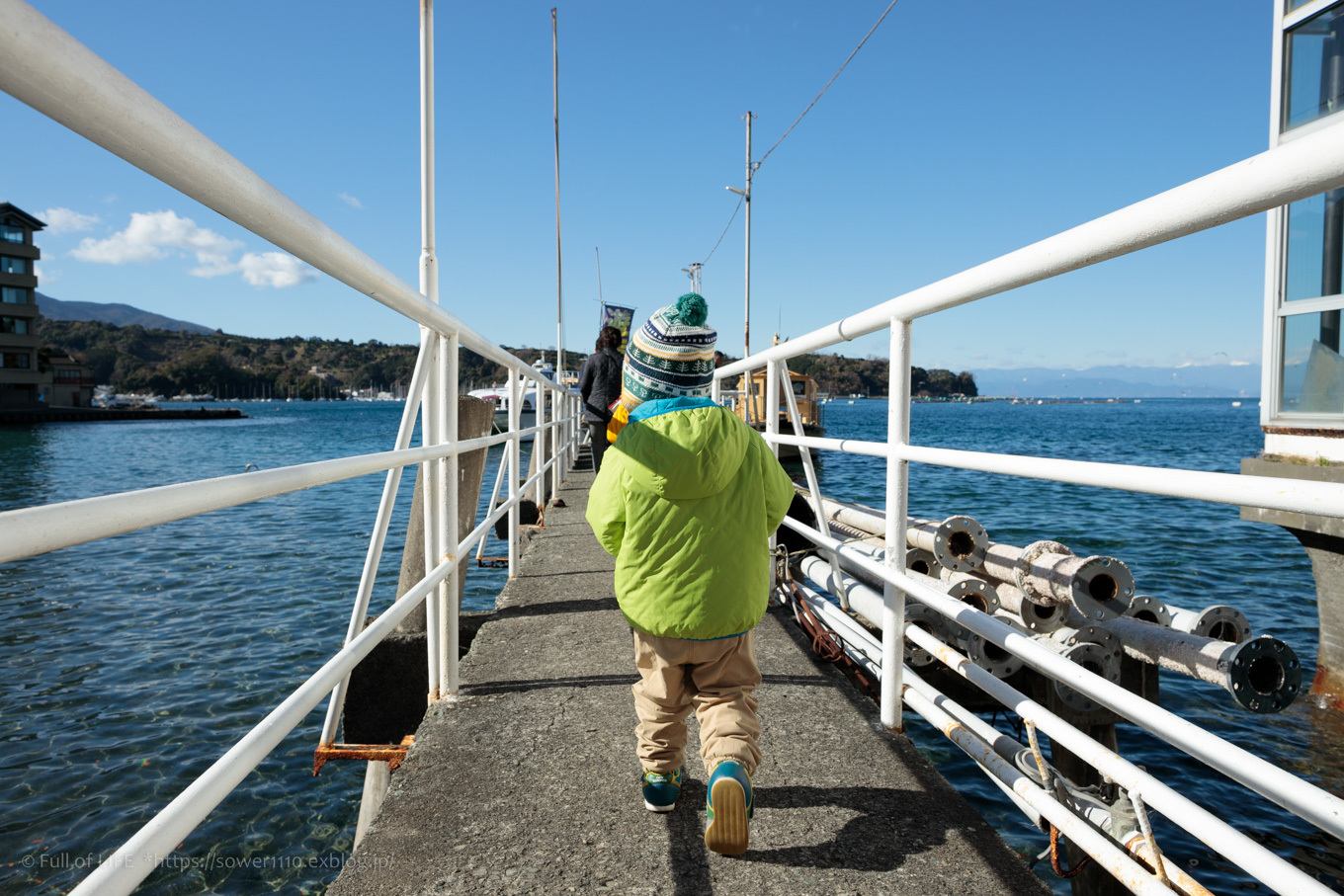 カモメが飛び交う「沼津港湾内めぐり」クルージング : Full of LIFE