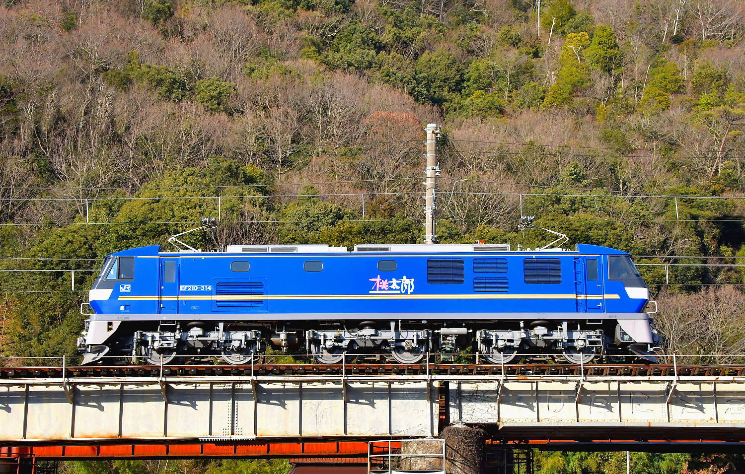 【EF210-314・315登場】 : 団塊鉄ちゃん気紛れ撮影記