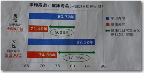 3月 県だより : 戯れの小道