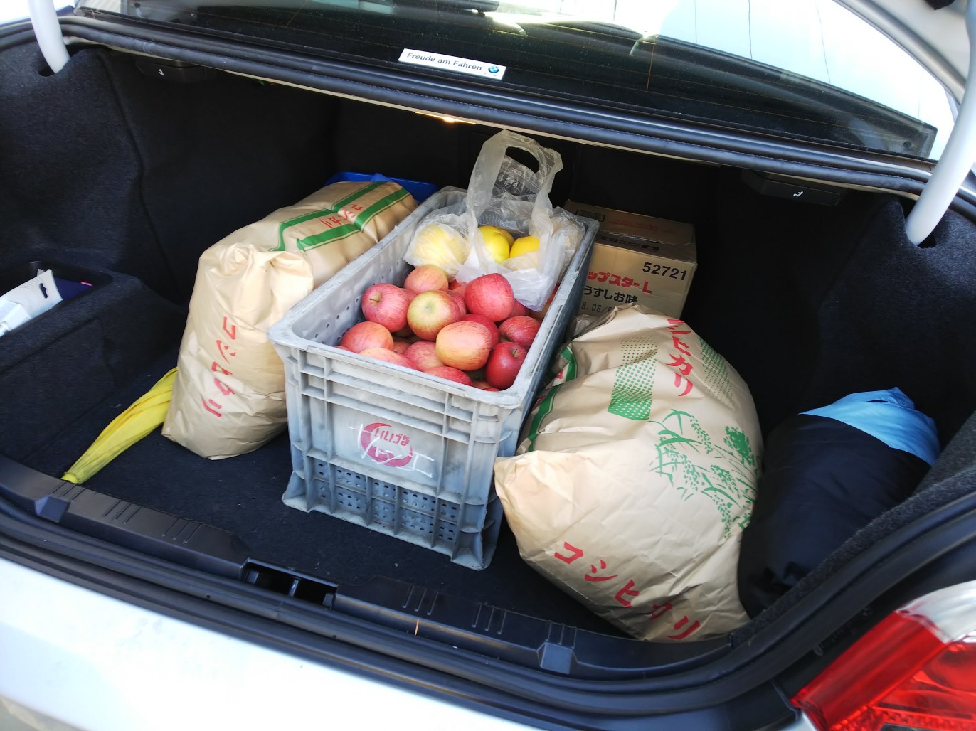 お持ち帰り : saruyamaの沼探検