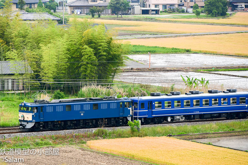 EF60 19 ELぐんまよこかわ号 : Salamの鉄道趣味ブログ
