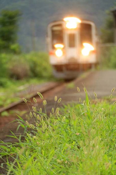 また雨 : のんびり歩こう三重の道