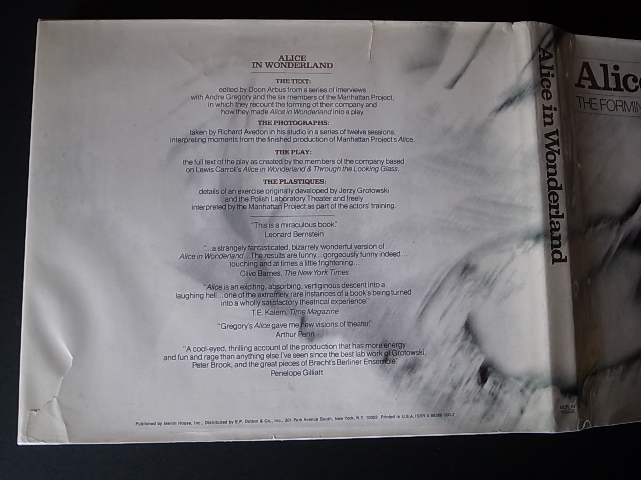 ALICE IN WONDERLAND / Richard Avedon (Photo), Doon Arbus (Text) : Books ...