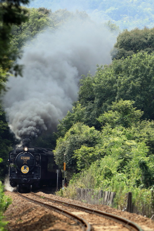 緩やかなカーブで : 蒸気屋が贈る日々の写真-exciteVer