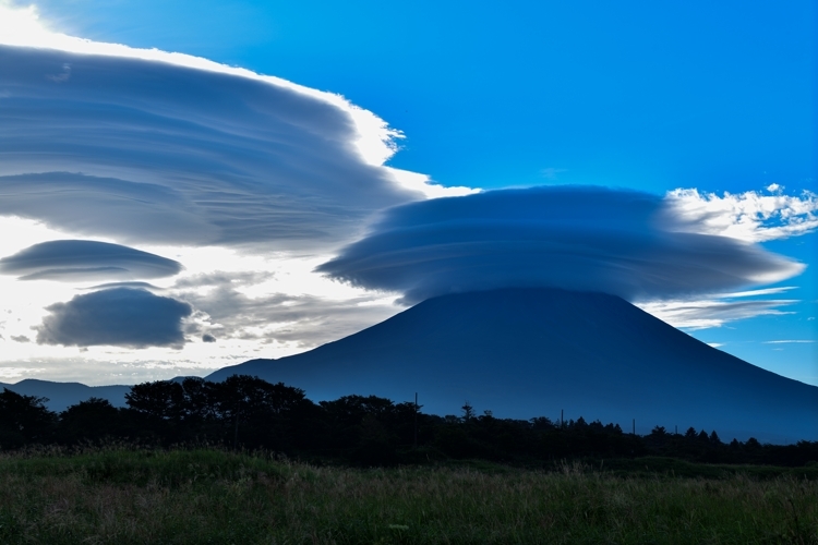 朝霧高原 : 富士山に夢中