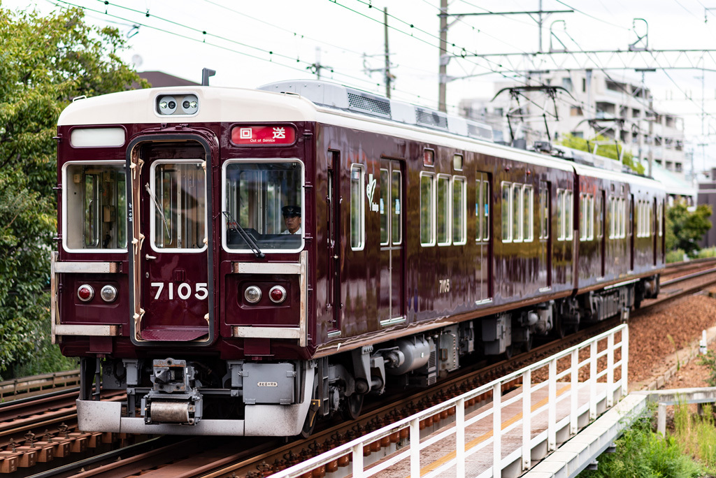 AF-S NIKKOR 50mm f/1.8G と AF-S NIKKOR 85mm f/1.8G の話 AF-S NIKKOR 50mm f/1.8G と AF-S NIKKOR 85mm f/1.8G の話