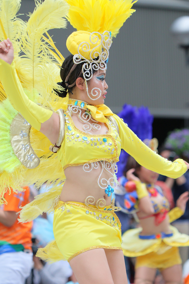 神戸まつり 2019 : 写真部