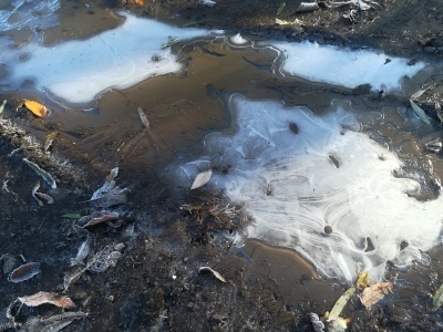 今日は立冬 : あるちゅはいま日記