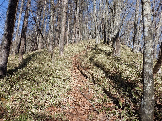 西上州（神流町） 原三角点を訪ねて寒風の白髪岩へ Mount Shiraga in Kanna, Gunma : やっぱり自然が好き