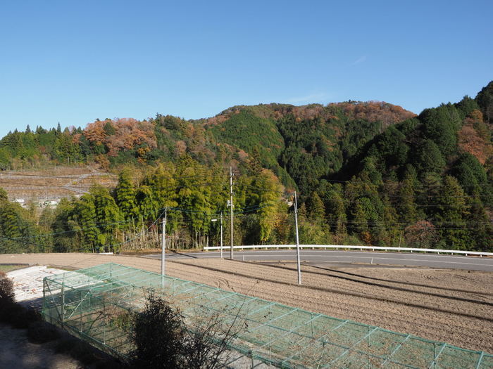 快晴 : ゆきだより。。日々つれづれ