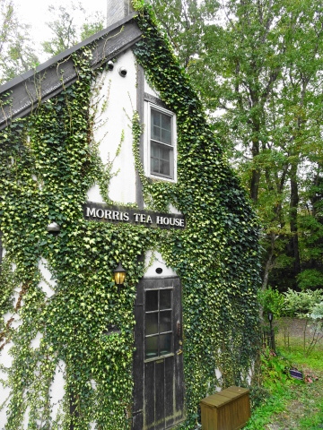 森の中の『英国茶房 森栖』 : marianne memorandum