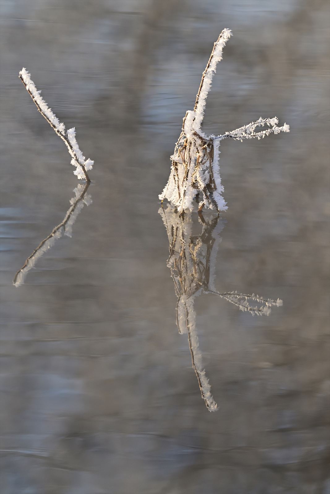 ウトナイ湖の気嵐 : やぁやぁ。