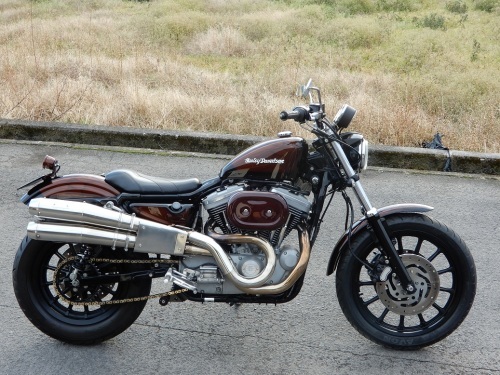 XL1200S : NUTS CUSTOM CYCLES