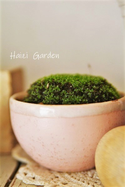 行く年2019年のご挨拶(*^^*) : balcony＊xingxing＊