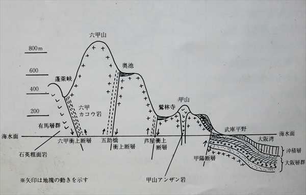 昔はトロイデ型火山と考えられていた甲山 : 阪急・阪神沿線文学散歩