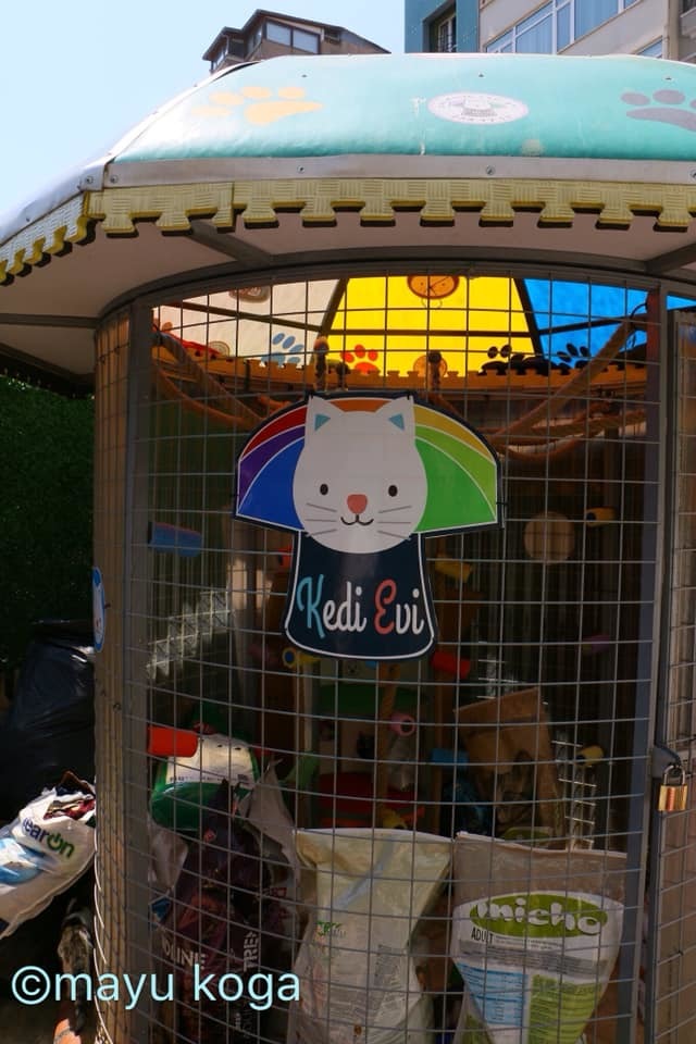 イスタンブールの猫の施設 : ねこ旅また旅
