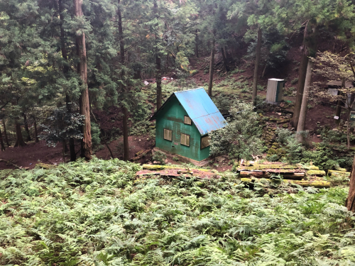 霊仙山周回トレイルラン32km [2019.10.06] : ぺぺろんちーの blog