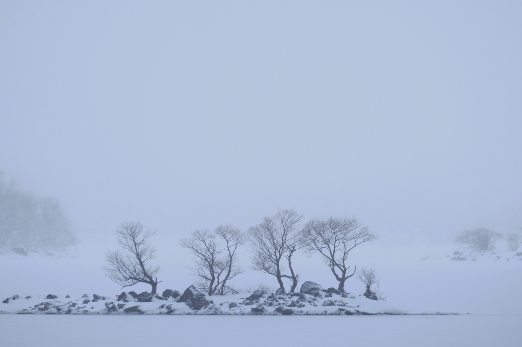 裏磐梯檜原湖にて 2020・02・08 : 常陸のT's BLOG