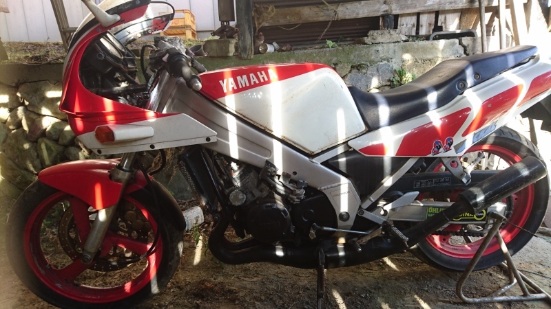 '85 TZR250 1KT 不動車から始めたレストア日誌