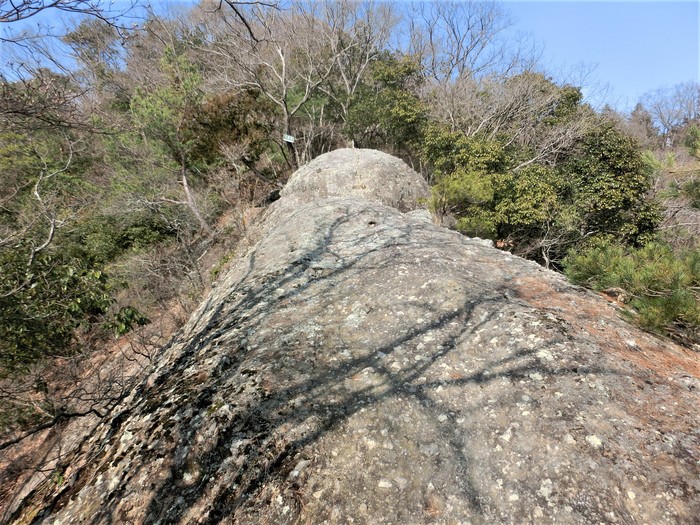 No517 兵庫岩峰の播磨富士明神山 A～Cコースを歩く : みちくさおじさん山を歩く
