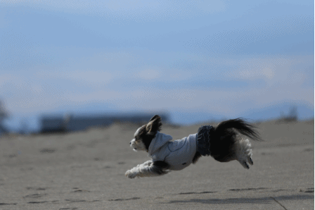 波は見ない（2月の海・Ⅴ） : FUNKY'S BLUE SKY