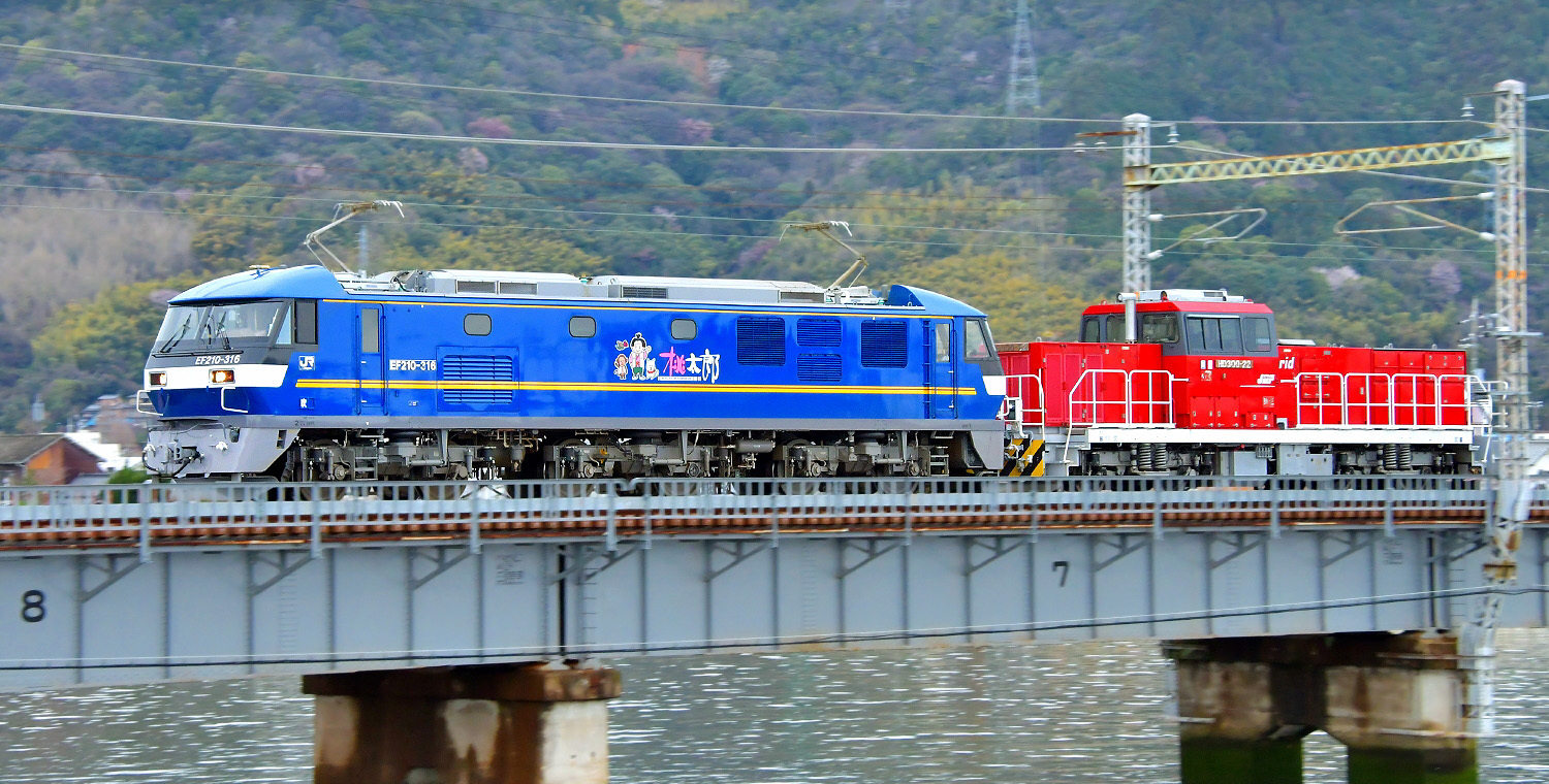 EF210-316運用入り : 団塊鉄ちゃん気紛れ撮影記