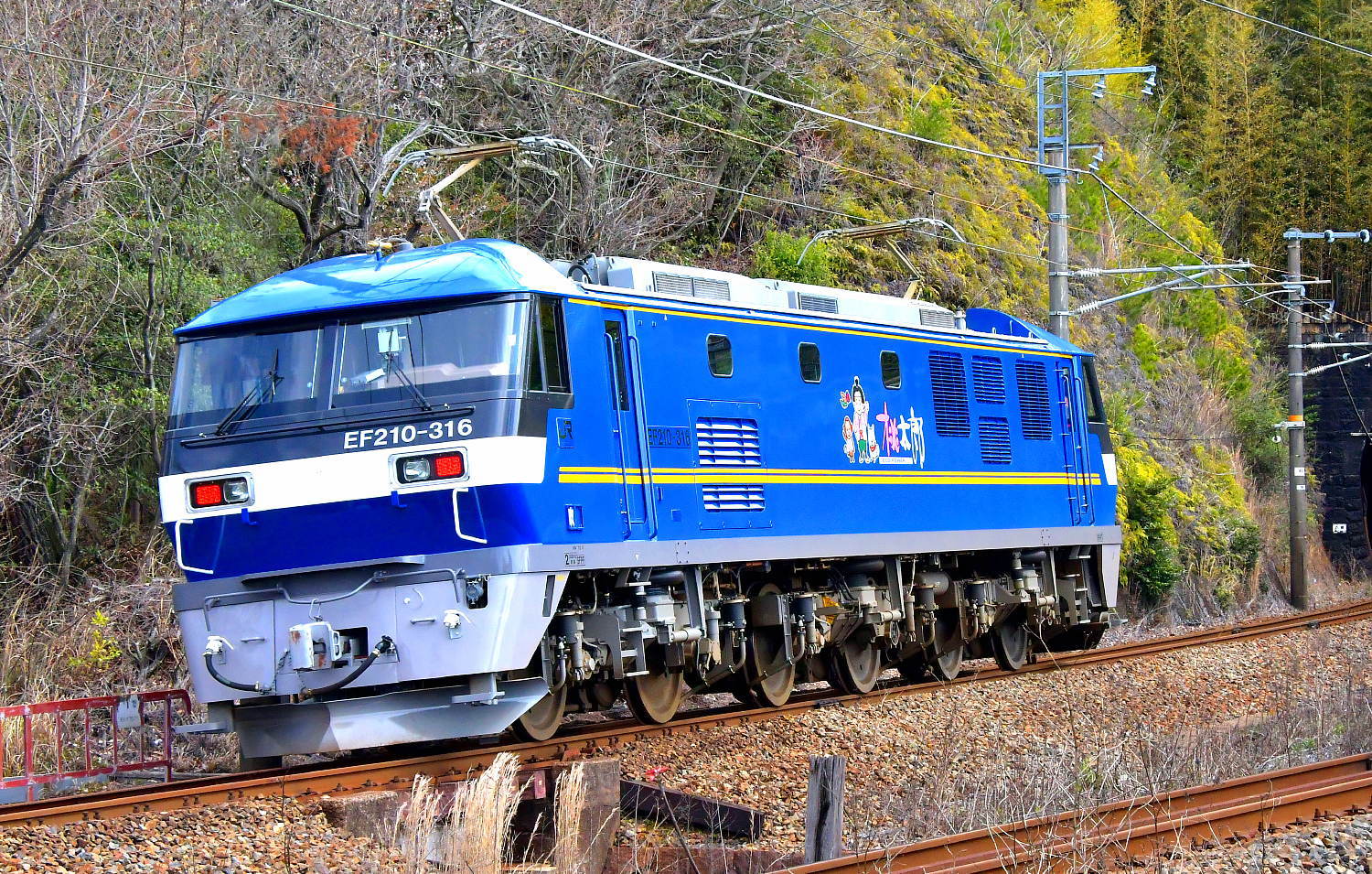 EF210-316運用入り : 団塊鉄ちゃん気紛れ撮影記