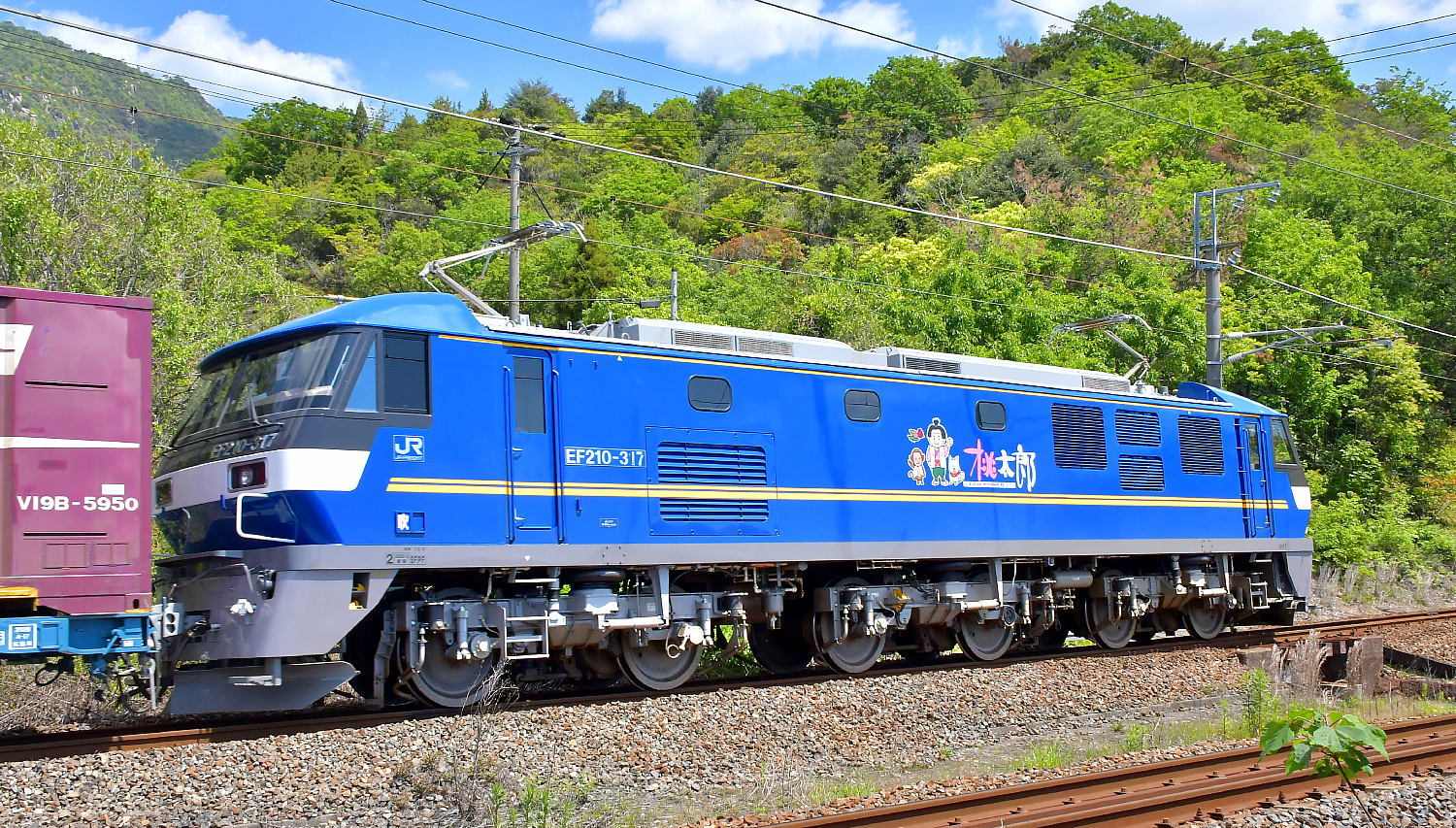 EF210-317運用入り : 団塊鉄ちゃん気紛れ撮影記