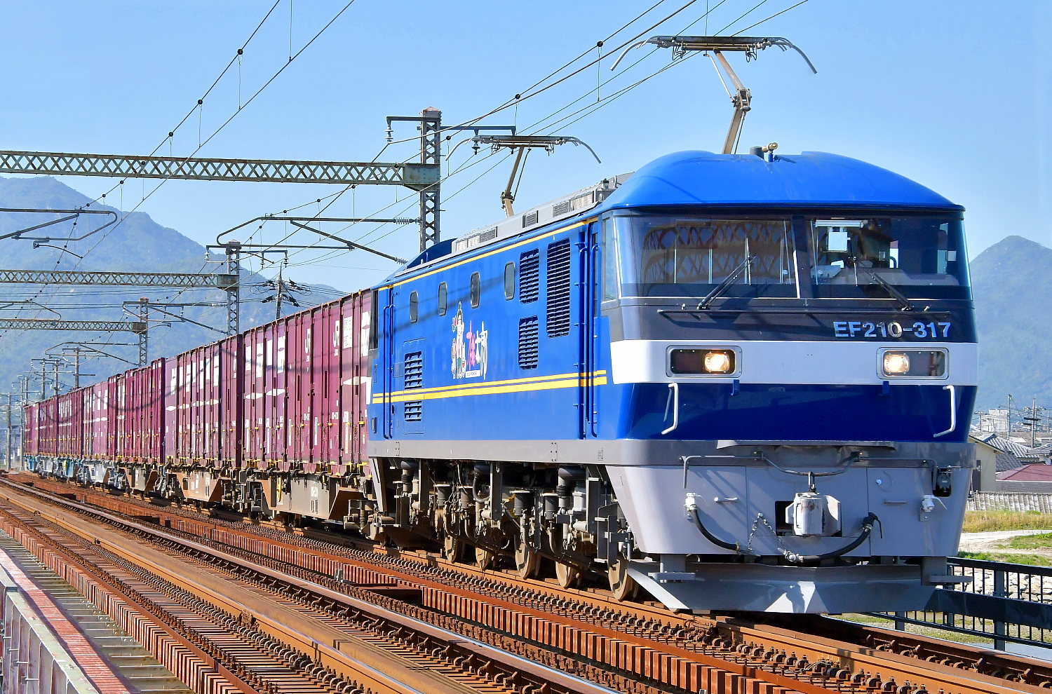 EF210-317運用入り : 団塊鉄ちゃん気紛れ撮影記