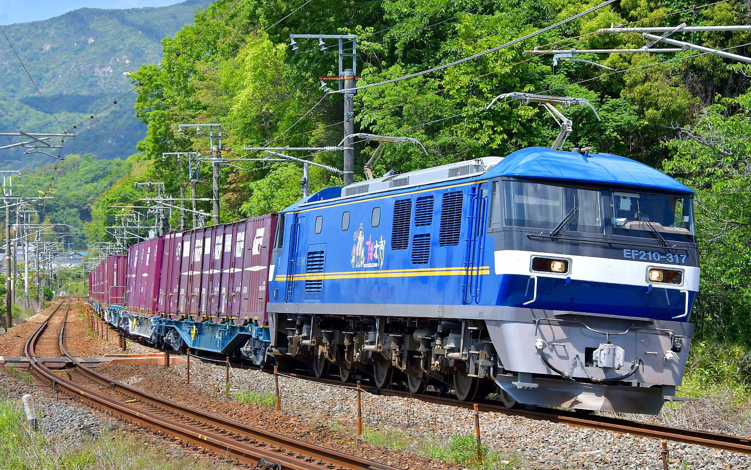 EF210-317運用入り : 団塊鉄ちゃん気紛れ撮影記