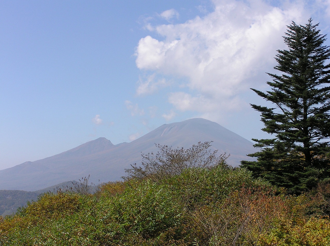 万葉集その七百九十四（東歌：信濃国） : 万葉集遊楽